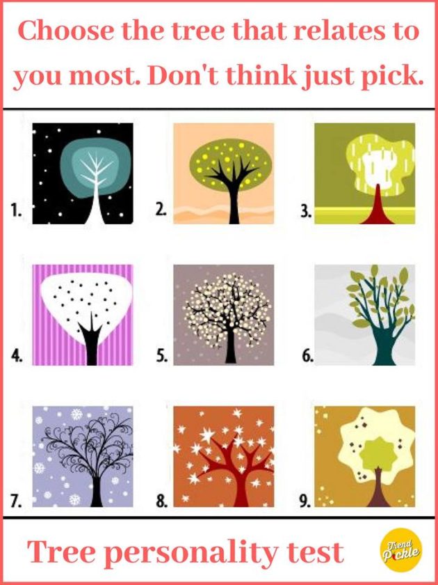 Here Are Your Personality Traits Based On The Tree You Choose - Trendpickle